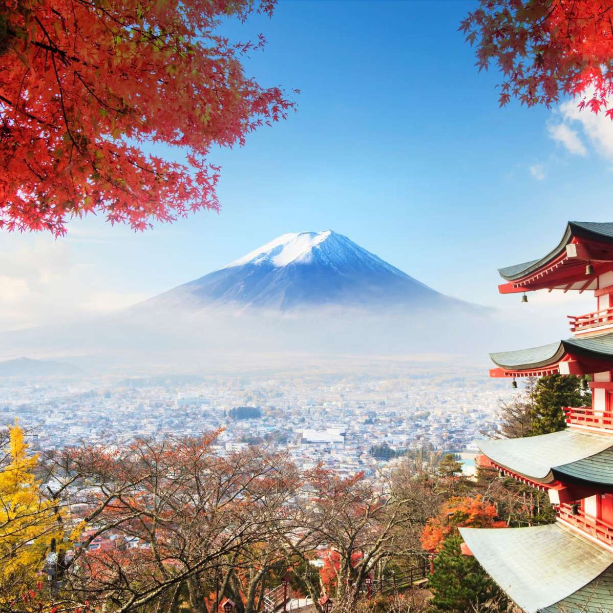 Autumn Mount Fuji Wall Art — Spa & Bodywork Market