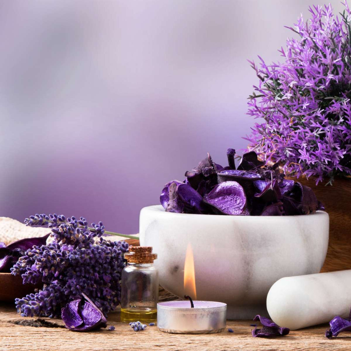 Calming Lavender Wall Art — Spa & Bodywork Market