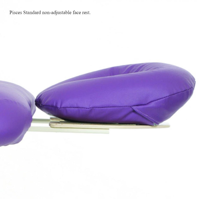 Face Rest Platform & Face Pillow for Pisces Pro Portable Tables — Spa ...