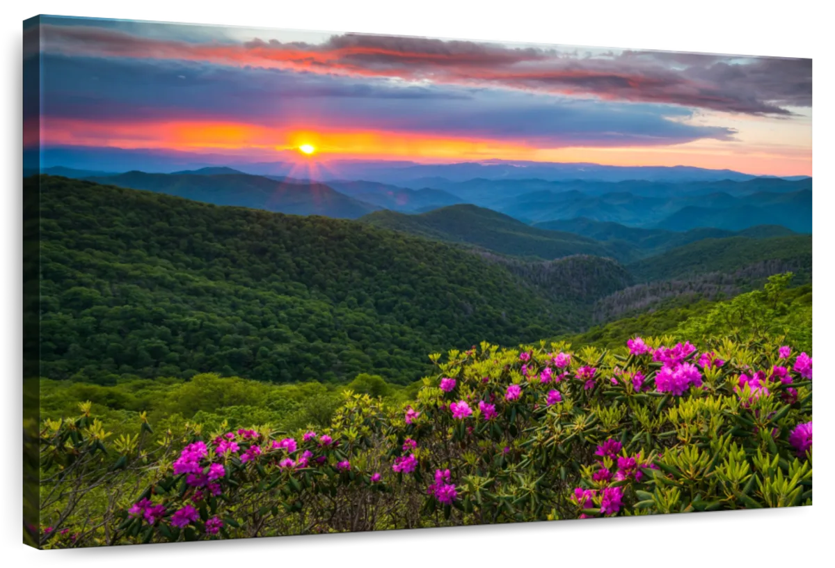 Blue Ridge Flowers Wall Art — Spa & Bodywork Market